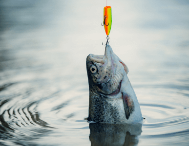 Float Fishing - ISO Fishing Store Limited